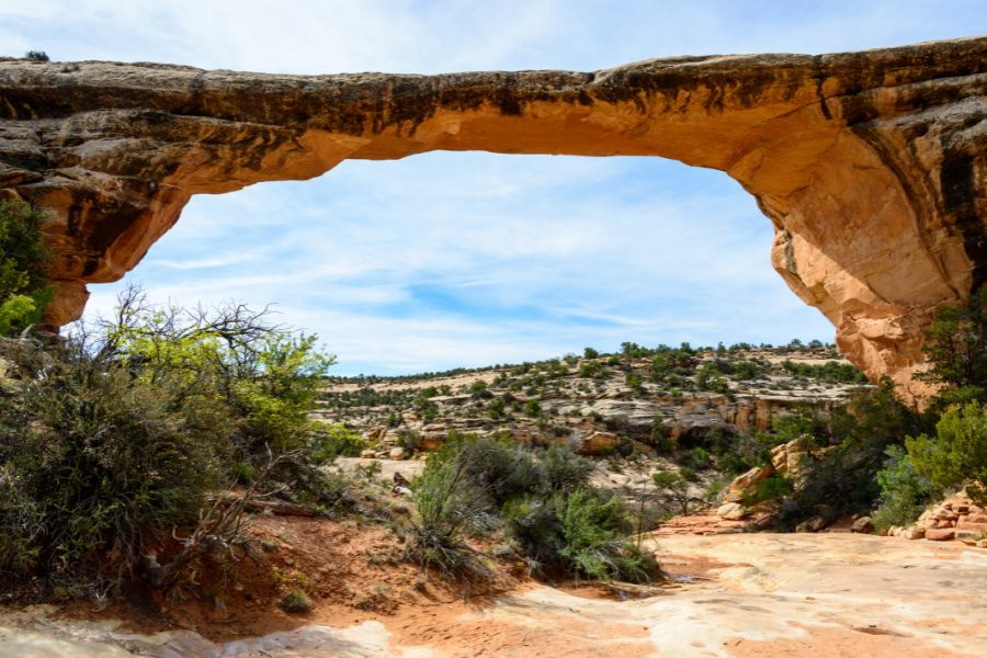 Natural Bridges National Monument: Unforgettable Rocks & Ruins