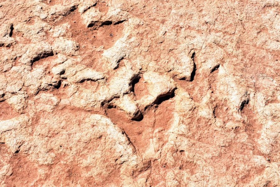 The Moenkopi Dinosaur Tracks: A Hidden Gem in Tuba City
