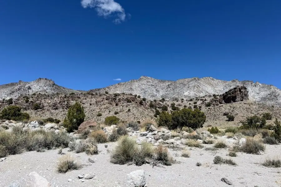 Topaz Mountain: A Hidden Gem for Rockhounds